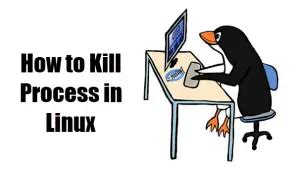 How To Kill Process In Linux Osetc Tech