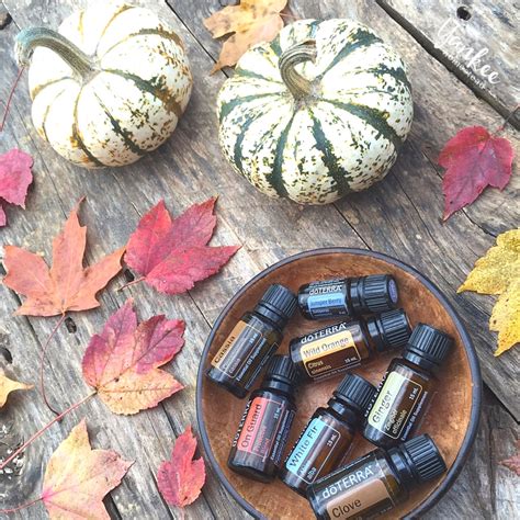 16 Cozy Fall Diffuser Blends Roots And Boots