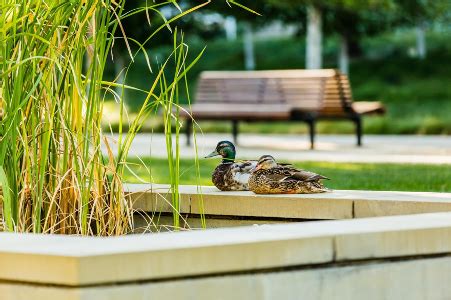 VMware VRealize Automation Cloud May Launch VMware Cloud Blog