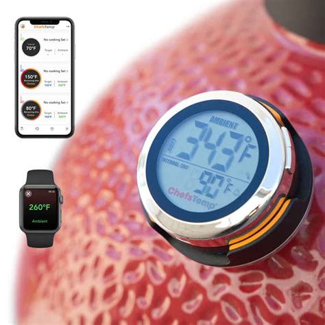 Infrared Thermometer In Water And Other Liquid Chefstemp