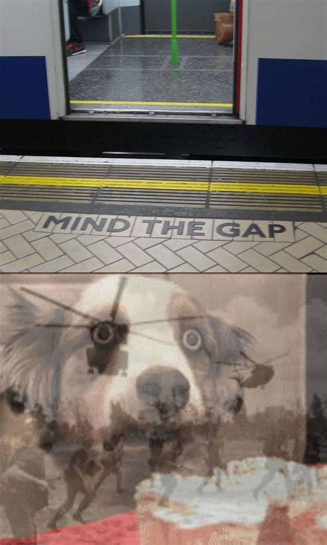Mind The Gape After The Game R Leagueofmemes