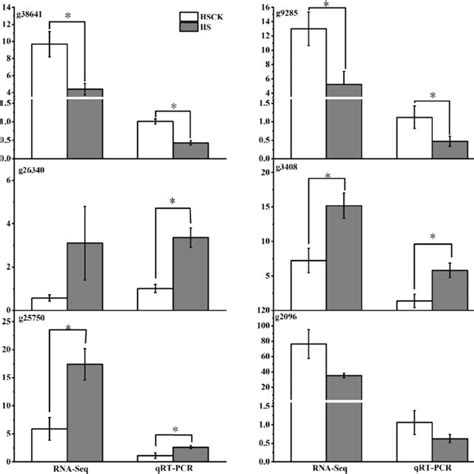 Summary Statistics Of The Rna Seq Results Download Scientific Diagram