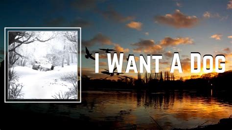 I Want A Dog Lyrics Weezer Youtube