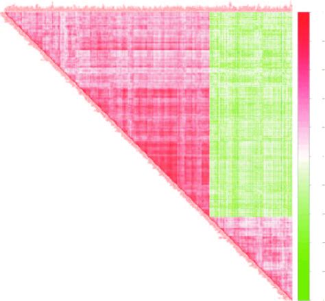 Correlation Coefficient Heat Map Correlation Coefficient Heat Map Download Scientific Diagram