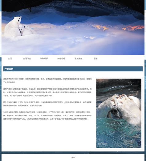 一个简单的网页制作作业，宠物html静态网页制作成品代码学生网页设计作业源码html期末大作业宠物网站制作代码 Csdn博客