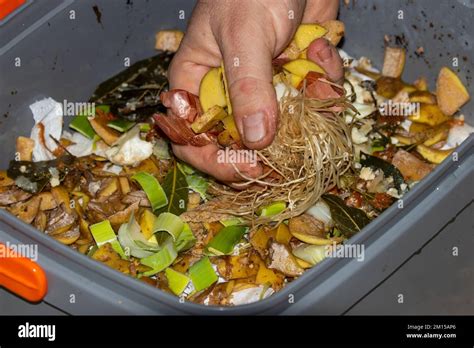 Bokashi Fermenting And Composting Method Composting In Kitchen With Em Effective Microorganisms
