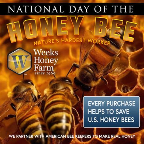 National Honey Bee Day Weeks Honey Farm