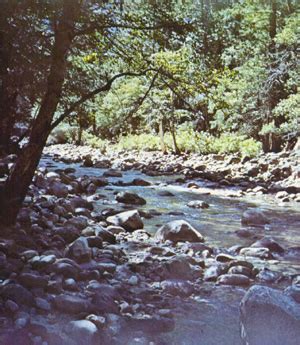 Manning S N Examples Hydrology Tools CulvertBC