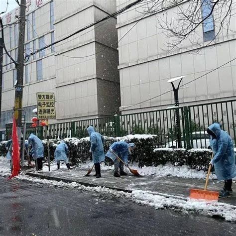 江宁老体协扫雪除冰保畅通为群众办实事金融监管局办事生产