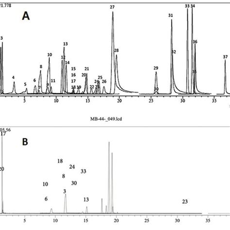LC MS MS Chromatograms Of The Standards And The Extract A Standards Download Scientific