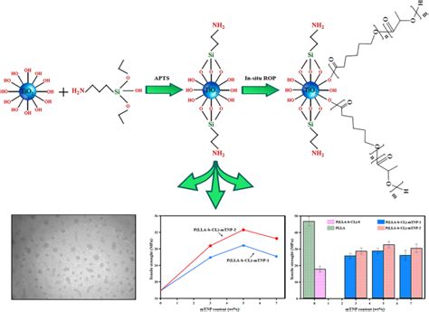 改性二氧化钛纳米粒子对聚 L 丙交酯 B 聚 ε 己内酯 热性能和力学性能的影响 Iranian Polymer Journal X Mol