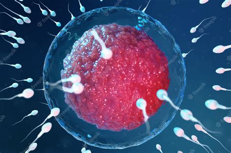 3d 그림 정자와 난자 난자 난자에 접근하는 정자 토종 및 자연 수정 새로운 삶의 시작을 개념 현미경으로 붉은 핵을 가진 난자 정자 운동 프리미엄 사진