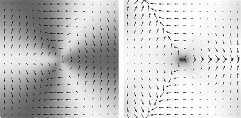 Example For Local Features Of The Monogenic Scale Space At Scale S 5 Download Scientific