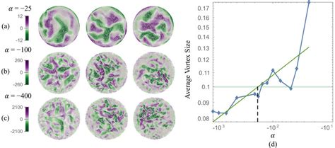 Actively Generated Vortical Flow Patterns In Single Population Phase