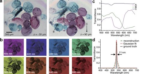 Snapshot Hyperspectral Volumetric Microscopy Limit Tsinghua University