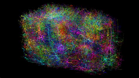 Most Detailed Human Brain Map Ever Contains 3300 Cell Types