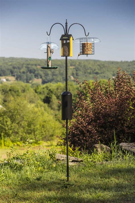 Best Squirrel Proof Bird Feeder Pole And Baffle System Plazaqery