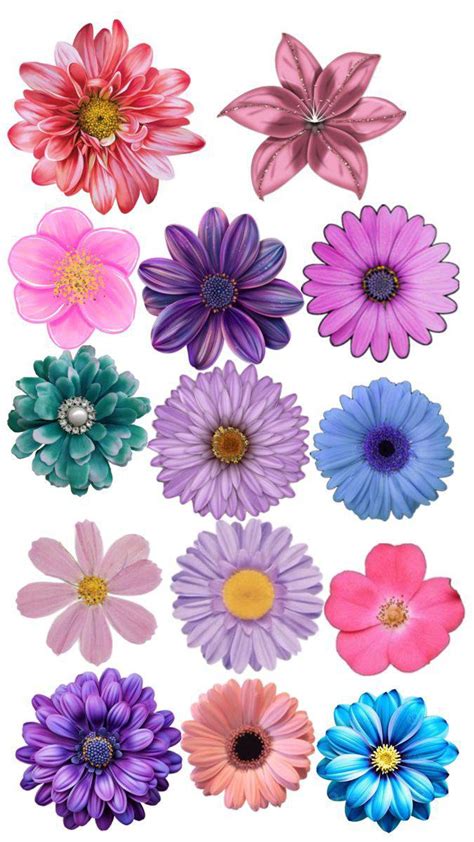 Teacher Mham Corner Added A New Teacher Mham Corner