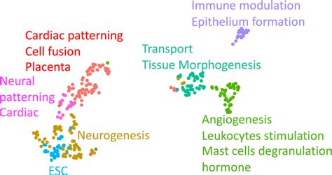 ontology identifiers from enrichmentmap analysis of differentially