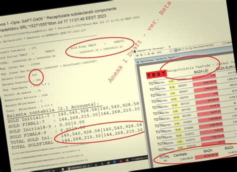 Bogdan Ionescu On Linkedin D406 Saft Saf Sap Foxpro Java Oracle Qad Contabilitate…