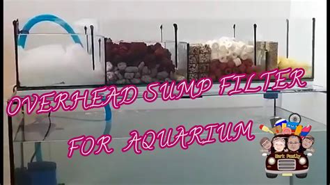 Overhead Sump Filter Setup At Blake Pardey Blog