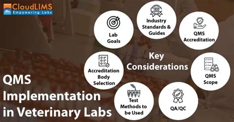 Qms Implementation In Vet Labs Key Considerations And The Role Of
