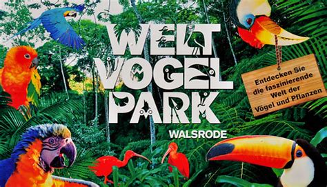 ფლორა და ფაუნა Genia Ge Page 25