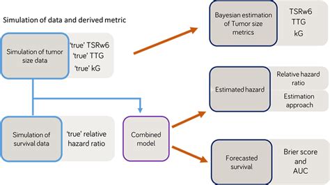 Project Workflow Tumor Size And Survival Data Were Simulated And