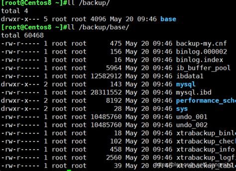 如何利用 Xtrabackup 实现完全备份及还原xtrabackup 还原 Csdn博客