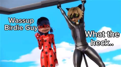 I Edited Mr Pigeon From Miraculous Ladybug Cuz Lila Has A Big Forehead💅