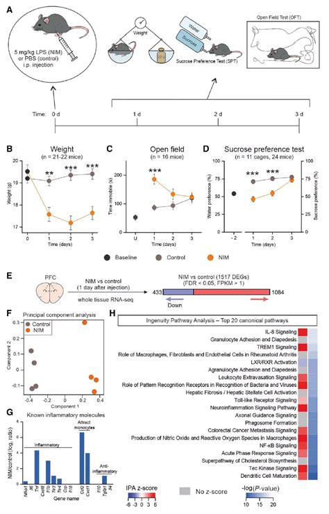 Cell子刊：再谈炎症！聚焦炎症诱发抑郁模型大脑皮层星形胶质细胞的分子和功能特性 知乎