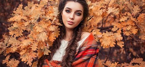 Лунный календарь стрижки волос на ноябрь 2022