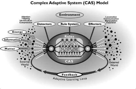 5 An Example Of A Complex Adaptive System Model Mcelroy 2000 Download Scientific Diagram