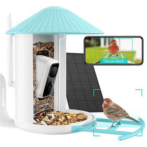 Netvue Birdfy Smart Bird Feeder With Free Ai For Bird Watching Netvue