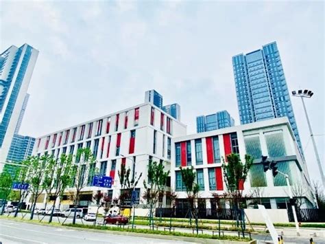 媒体中心 中信泰富滨江金融城目送式教育正兑现