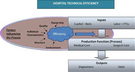 1 Conceptual Model Of Hospital Technical Efficiency Download
