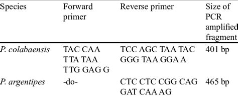 Details Of Dna Primer Set For Species Identification Of P Cola