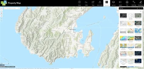 Basemap Widget LocalMaps
