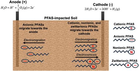 Conceptual Figure Of Applying Ek To Mobilize Pfas From Soils Ek
