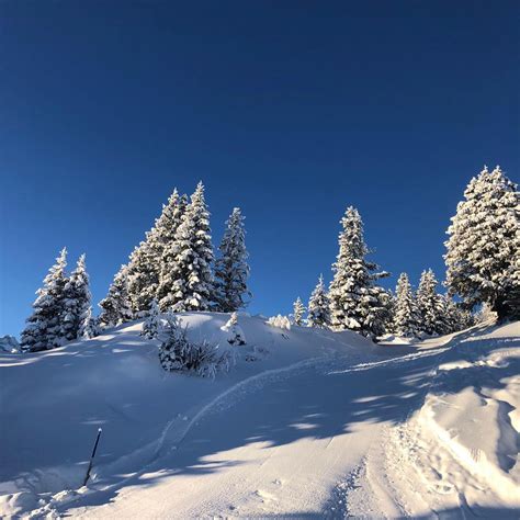 Markus Wallner Markus Wallner Added A New Photo — In