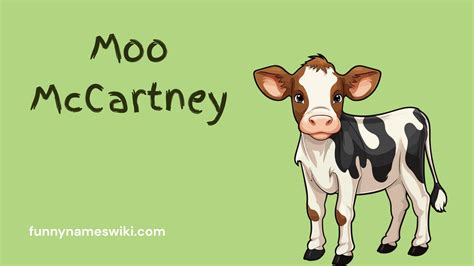 355 Funny Cow Names Thatll Make You Moo With Laughter Funny Names Wiki