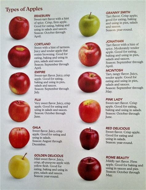 Apple Varieties Artofit