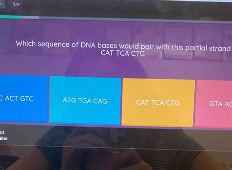 Solved 5 29 Which Sequence Of Dna Bases Would Pair With This Partial Strand Cat Tca Ctg C Act