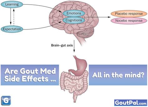 Topic Do Allopurinol And Colchicine Cause Diarrhea GoutPal Gout Forum