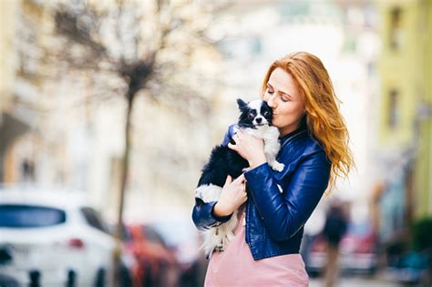 주 근 깨와 젊은 Redhaired 백인 여 자가 보유 하 고 키스 치와와 품종의 풀 숲 개 흑인과 백인을 수용 블루 가죽 자 켓을 입은 여 자가 유럽에서 봄에서 거리에 서