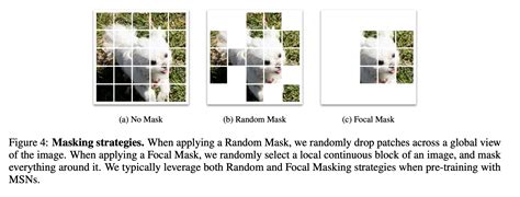 Implementation Of Focal Cutout Or Focal Masking Issue Keras Team Keras Cv GitHub