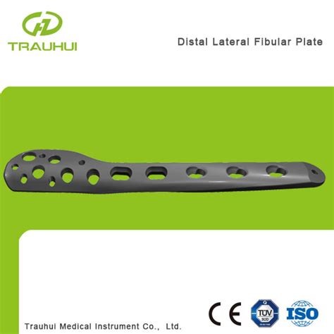 fibular pelvis deltoid 大山谷图库