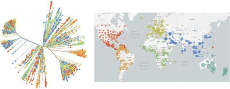 Sars Cov 2 Evolutionary Dynamics