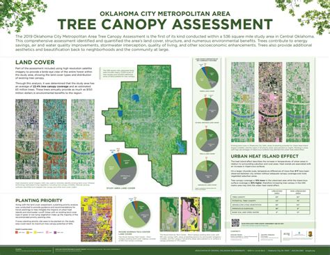 Tree Canopy Assessment Acog