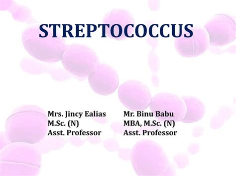 Streptococcus PPSX Ear Nose And Throat Conditions Diseases And Conditions